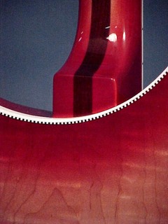 Rickenbacker 360/12CW "Carl Wilson"